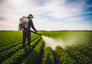 Biofertilizantes Y Biopesticidas Avances En Agricultura Sostenible